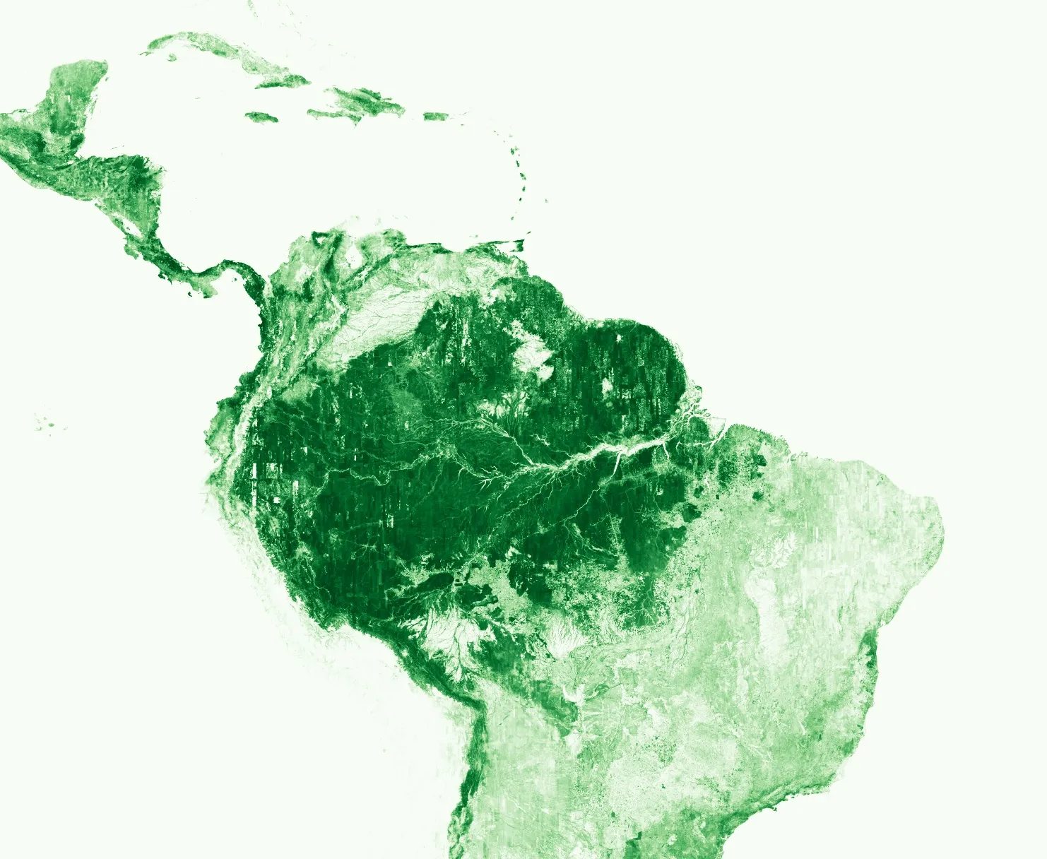 Global Forest Height Map with Artificial Intelligence - GIS Tuto